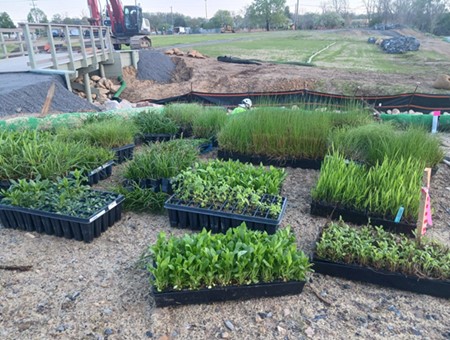 Waynesboro South River Preserve Tree Planting Set for Fall Planting – CSPDC