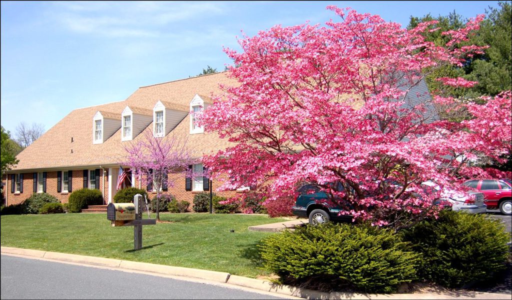 CSPDC – Central Shenandoah Planning District Commission